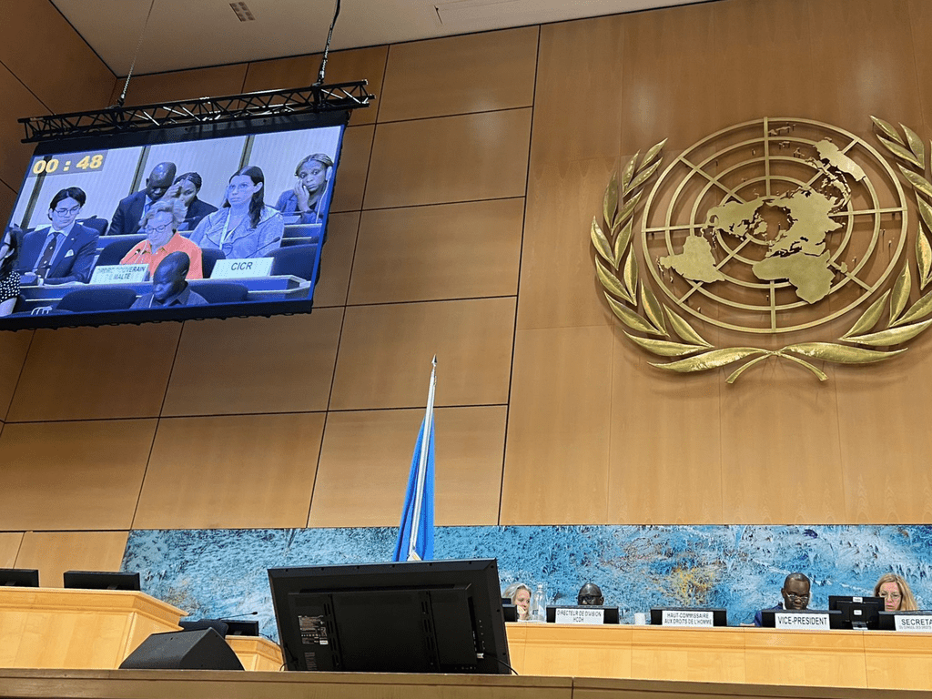 60th session of the Human Rights Council – Statement by H.E. Ambassador ...